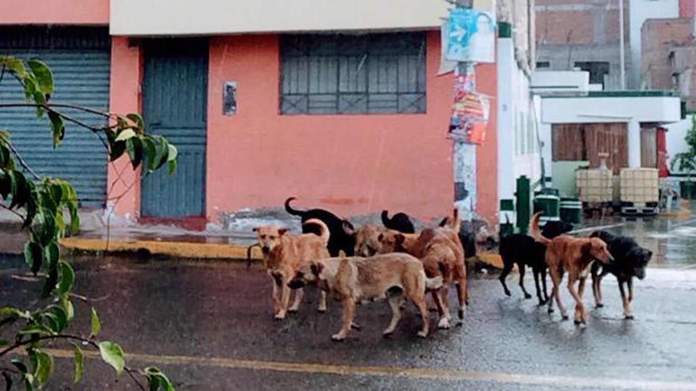 HBA Noticias | Cerro Colorado: Ciudadanos solo podrán tener como máximo ...